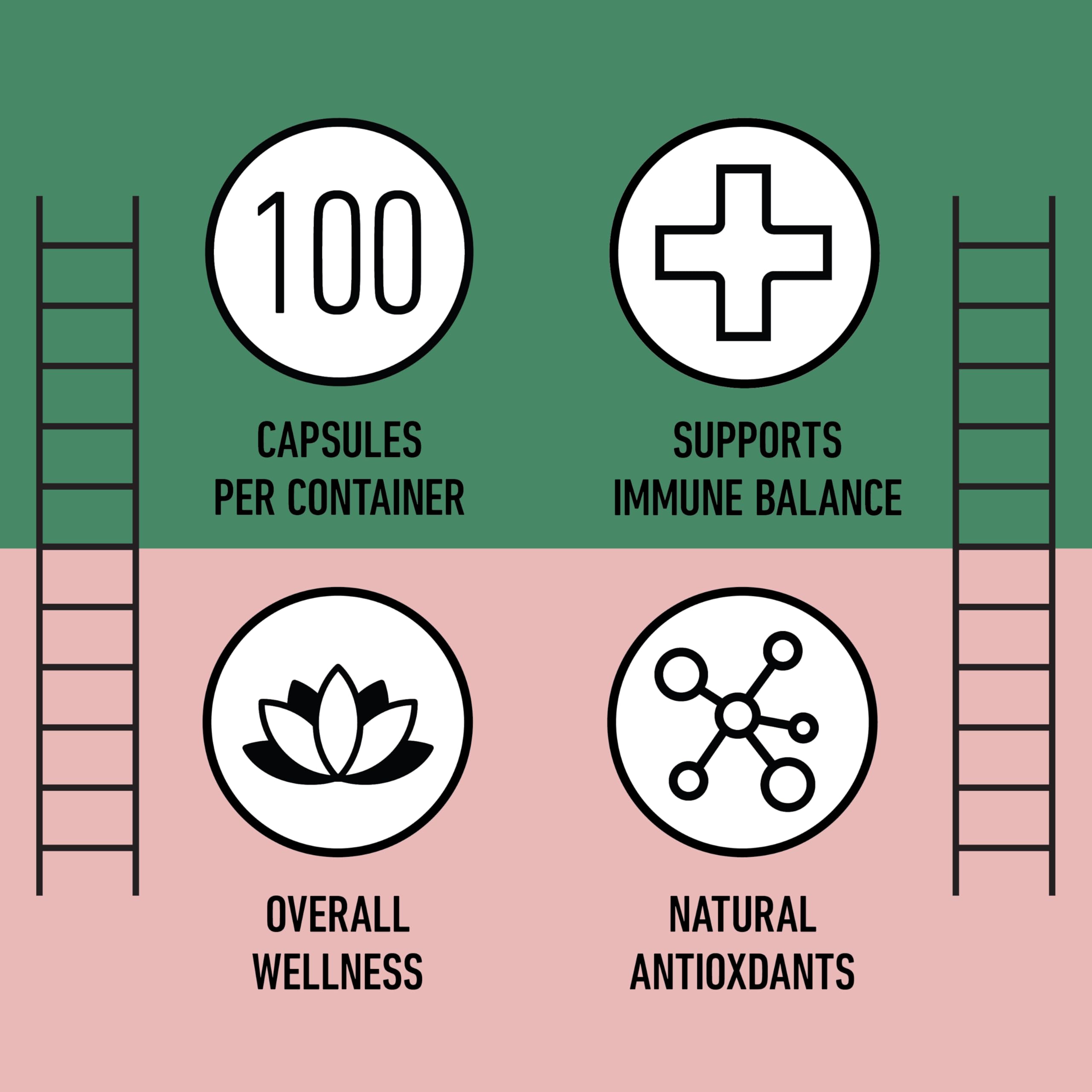 plant-based wellness supplement for everyone