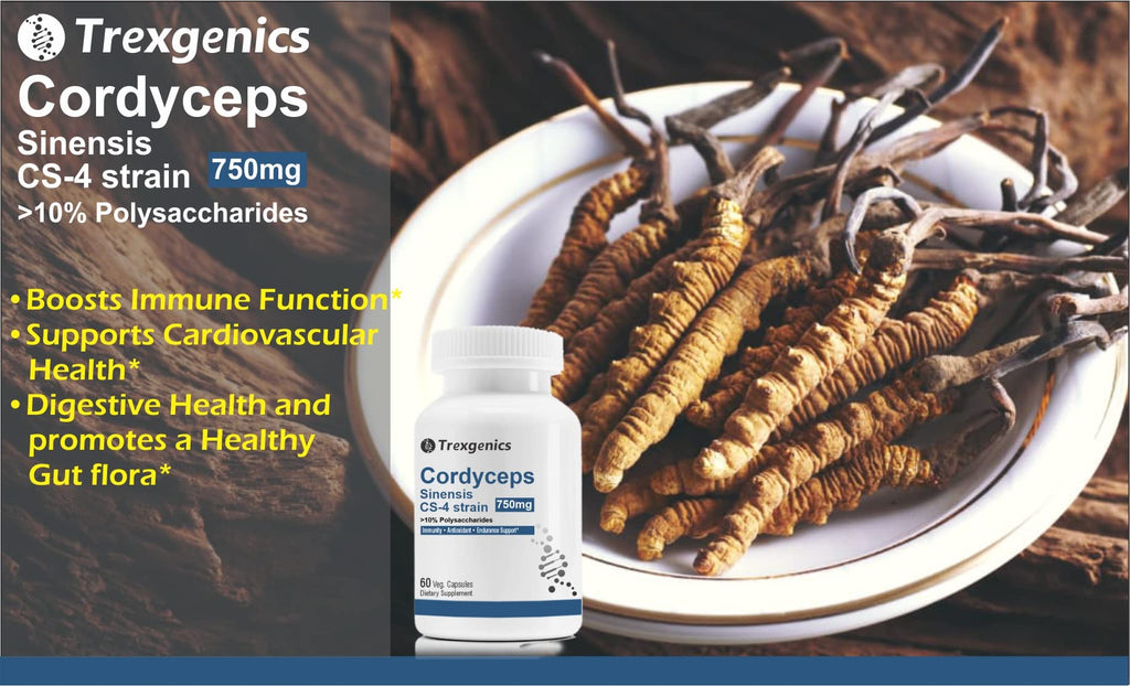 plant-based wellness with mushrooms