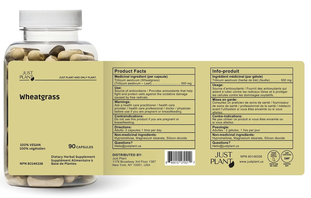 plant-based wheat grass for wellness