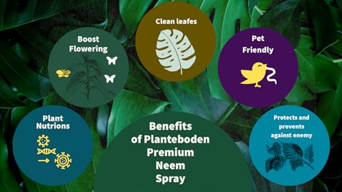 plant care neem oil benefits