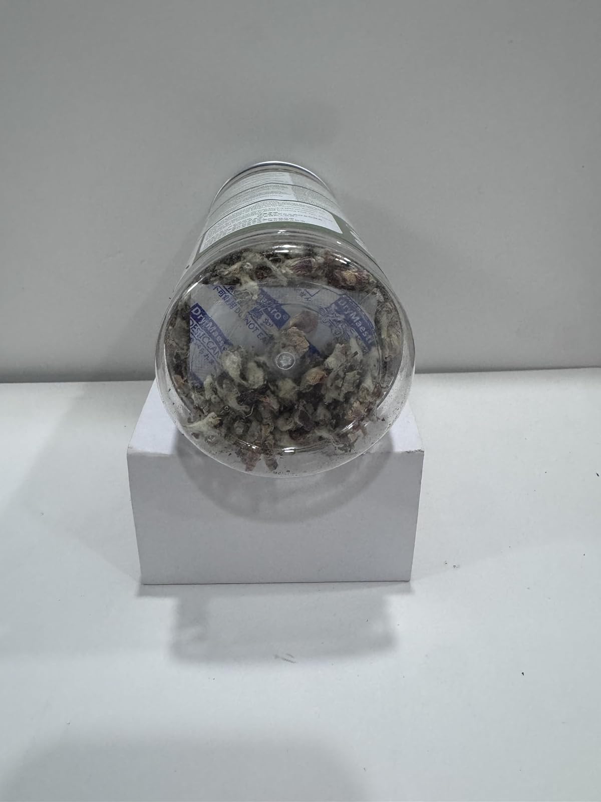 Plant Gift apple blossom infusion