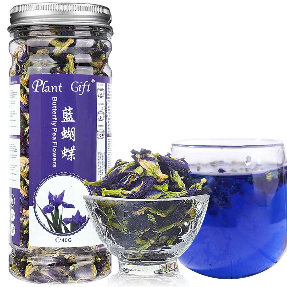 Plant Gift Blue Butterfly Pea Tea benefits