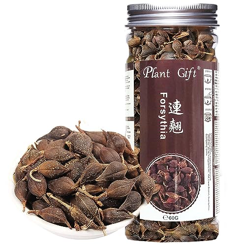 Plant Gift forsythia tea benefits