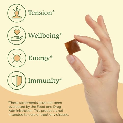 Plant People WonderBee health benefits
