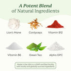Plant People WonderFocus mushroom benefits