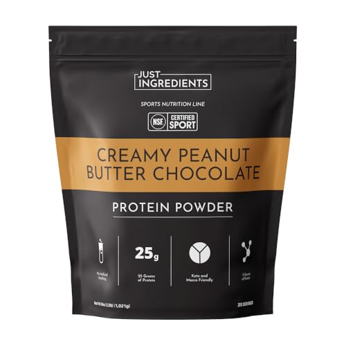 plant protein chocolate powder