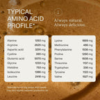 plant protein for active lifestyles