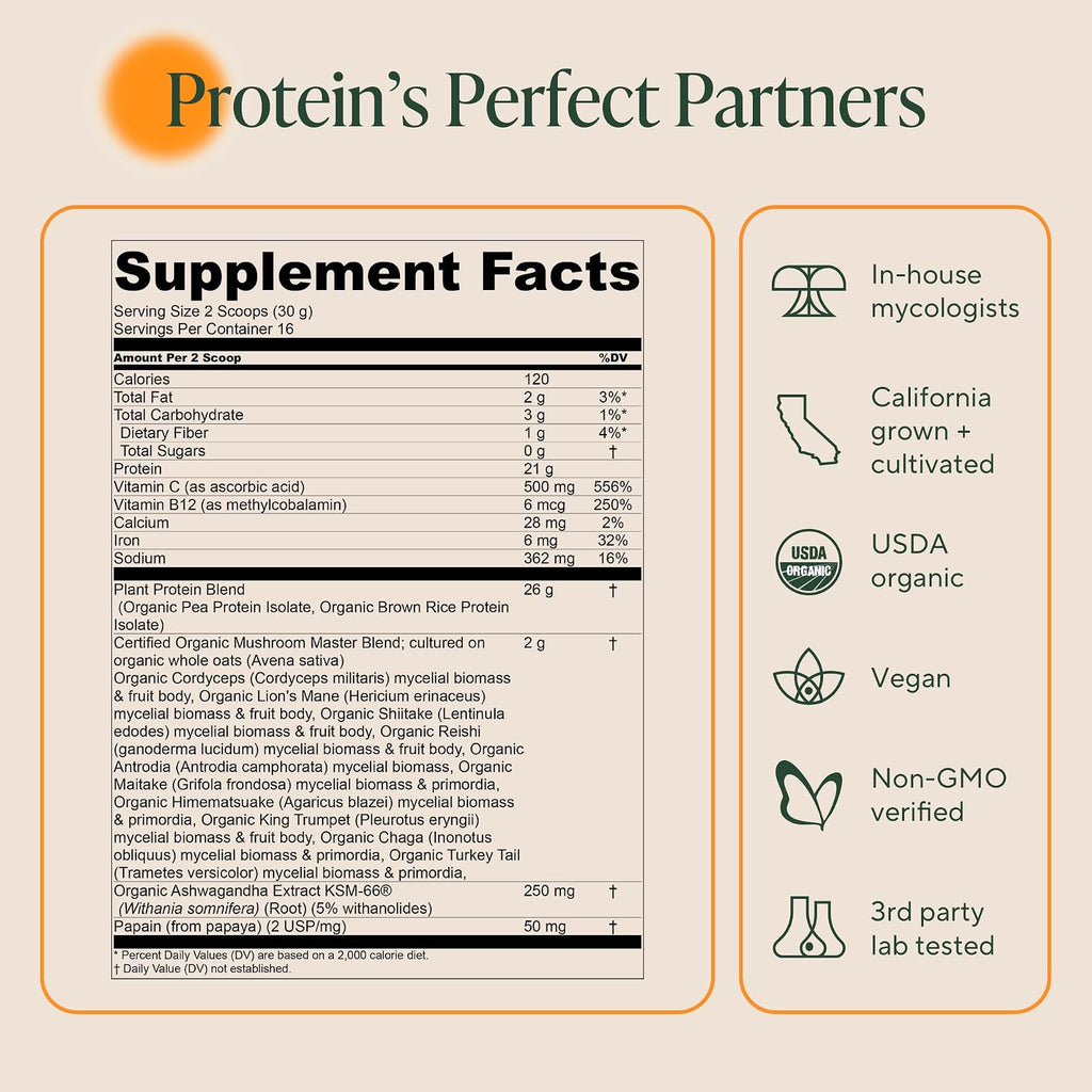 plant protein for energy and endurance