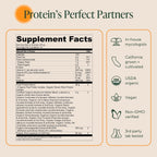 plant protein for energy and endurance