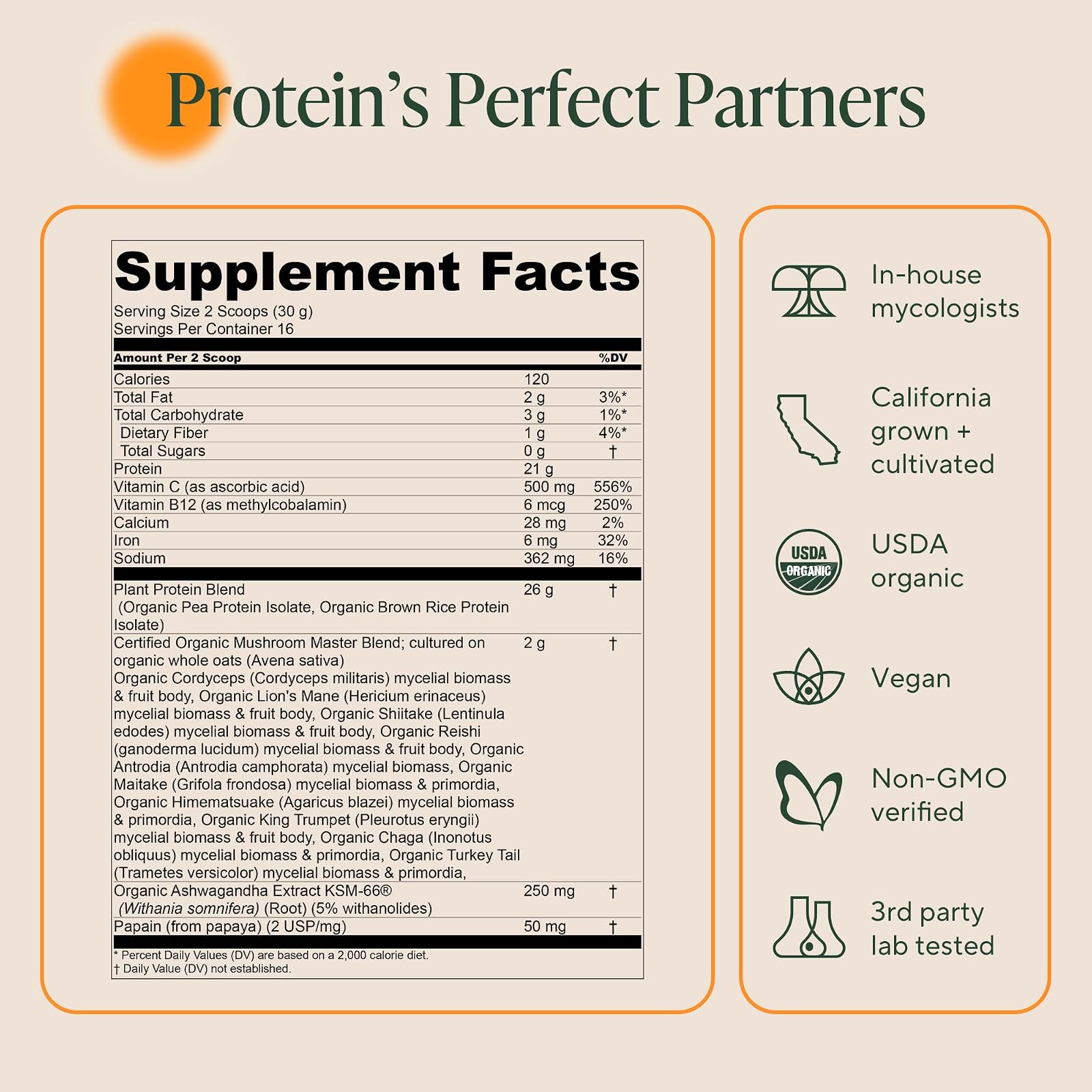 plant protein for energy and endurance