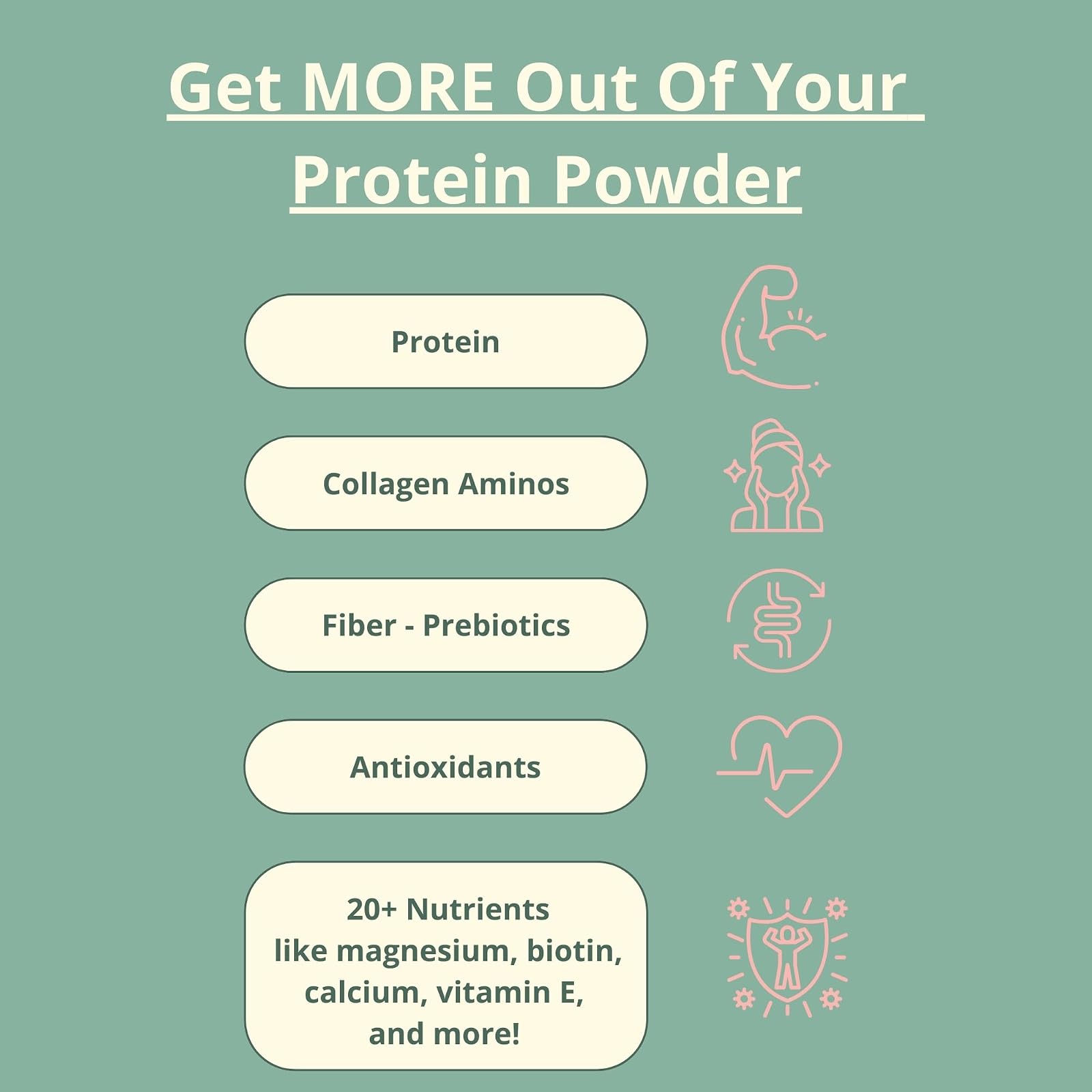 plant protein for energy and recovery