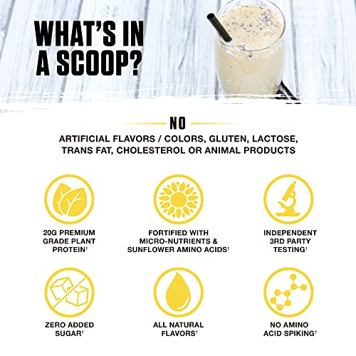 Plant protein for healthy snacks