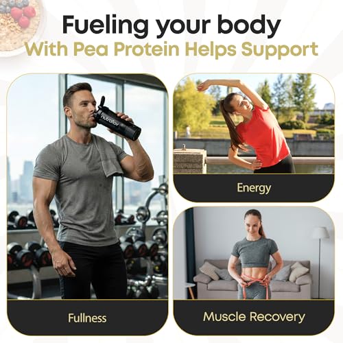 plant protein for post-workout recovery