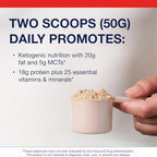 plant protein powder for energy boost