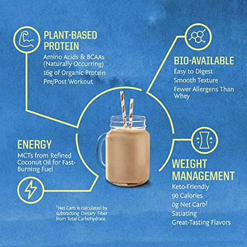 plant protein powder for muscle recovery