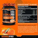 plant protein supplement for athletes