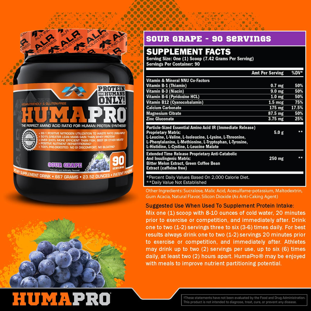 plant protein supplement for recovery