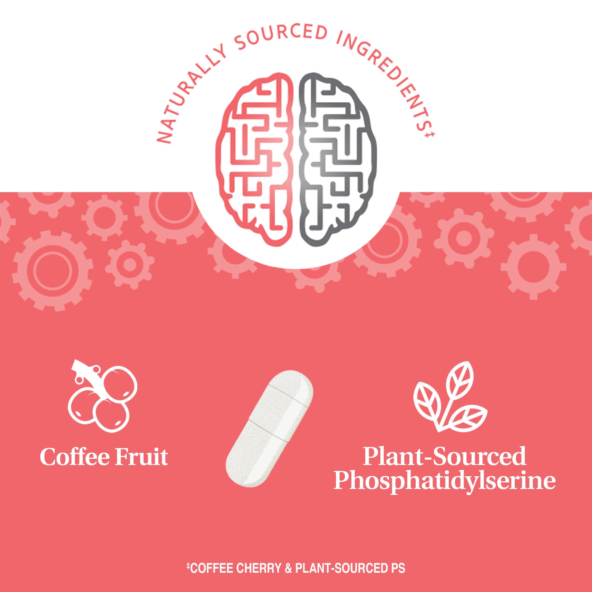 plant-sourced phosphatidylserine benefits