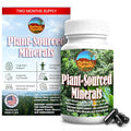 plant-sourced trace minerals capsules