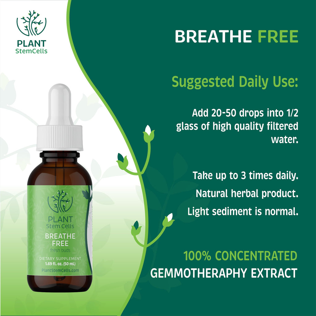 Plant Stem Cells elderberry for wellness