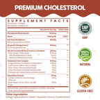plant sterols and niacin multivitamin benefits