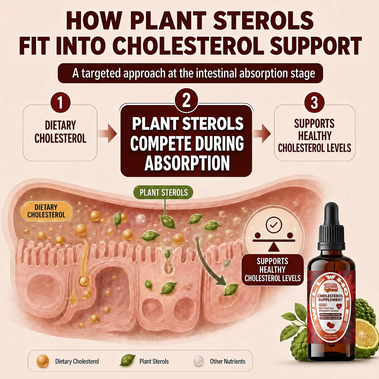 Plant Sterols herbal drops for heart health