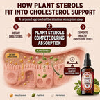 Plant Sterols liquid for daily wellness