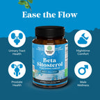 Plant Sterols multivitamin for men
