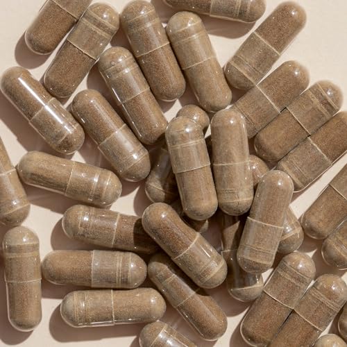 Plant Therapy mushrooms for cognitive boost