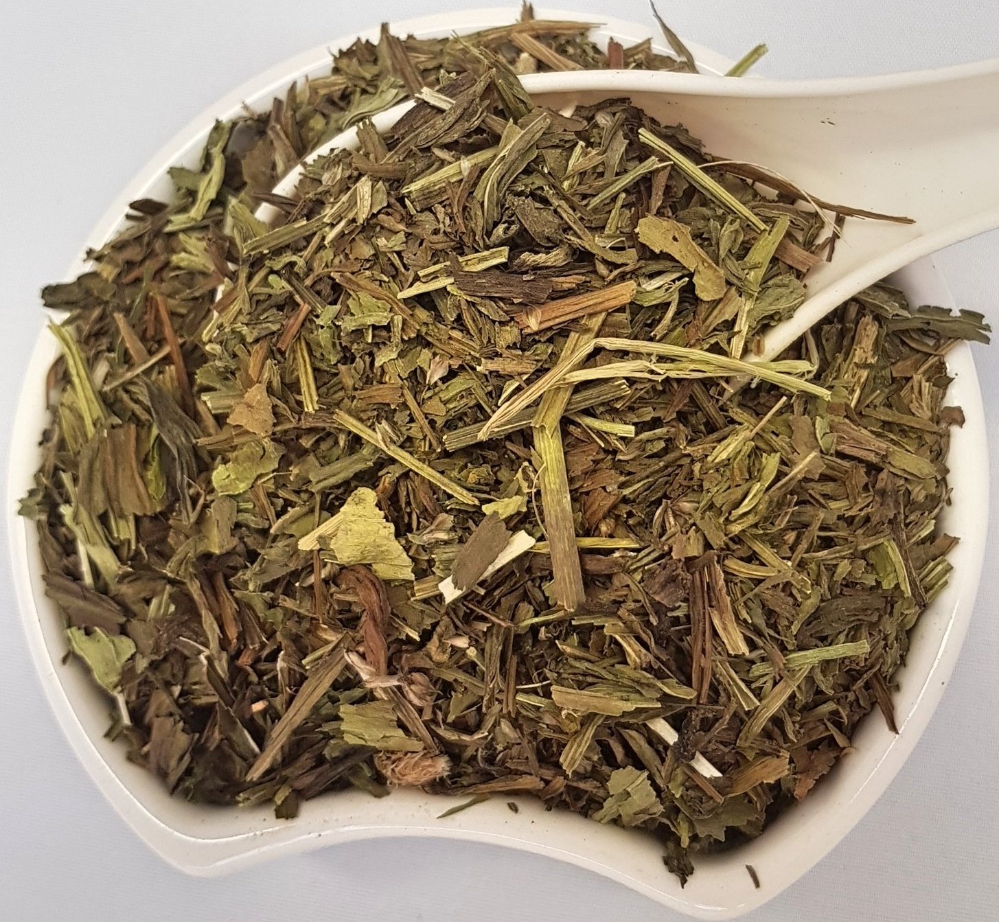 Plantago Lanceolata L herbal infusion