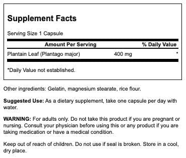 Plantago Major 400 mg health benefits