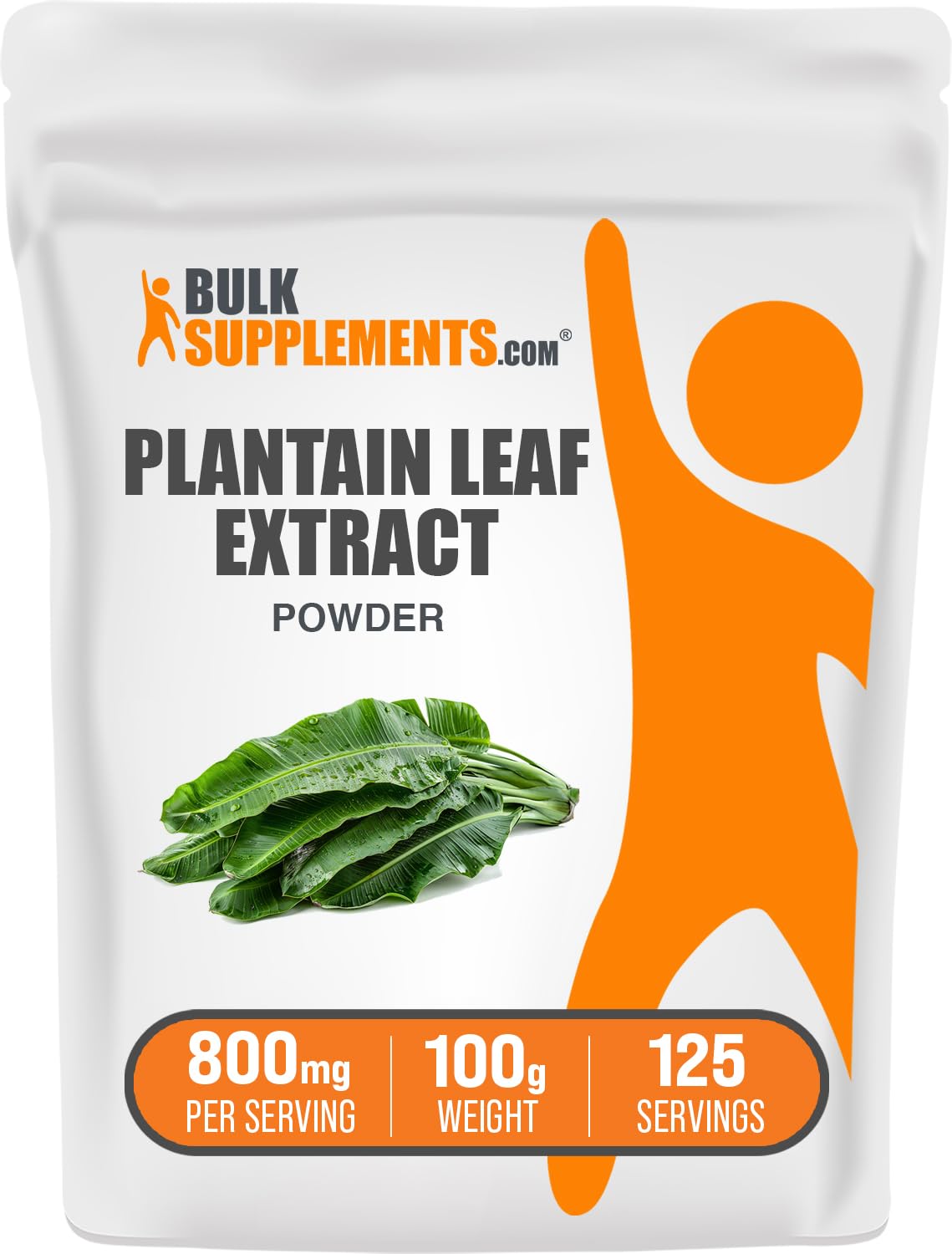 Plantain leaf extract powder benefits