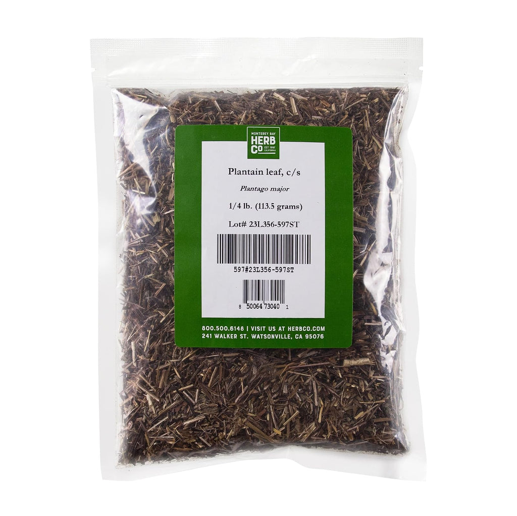 plantain leaf herbal tea benefits