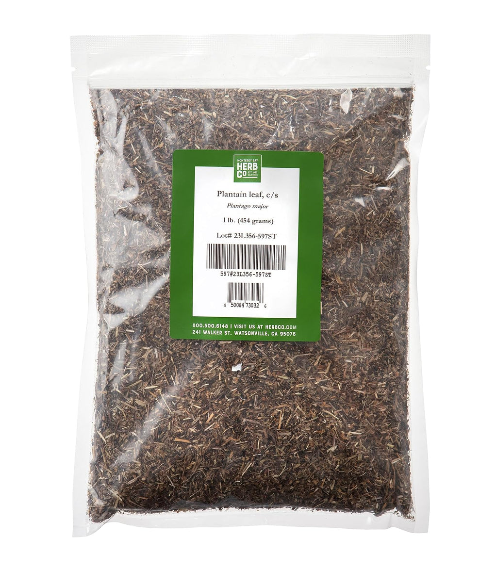 Plantain leaf herbal tea benefits