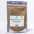 plantain leaf powder for herbal tea