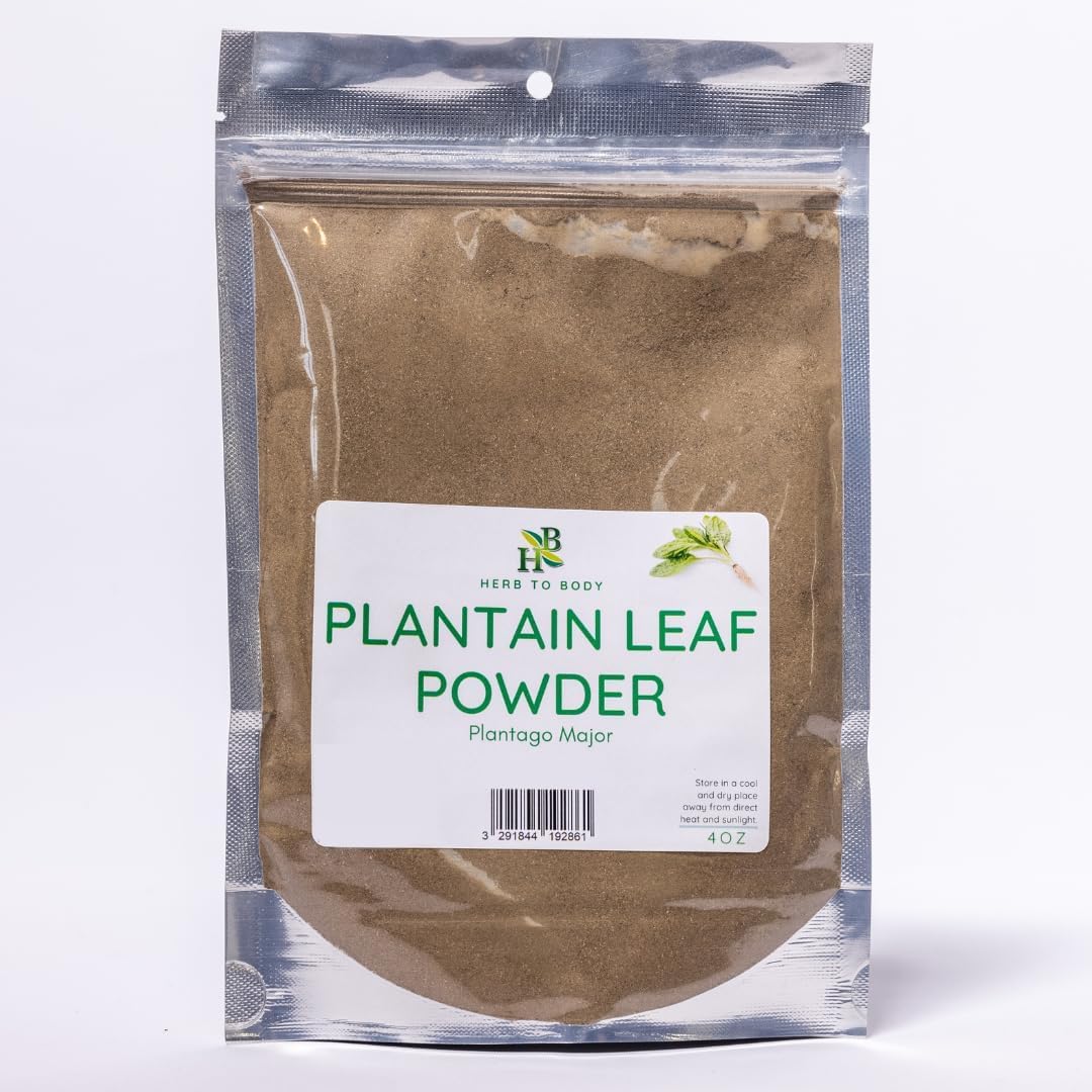 plantain leaf powder for herbal tea