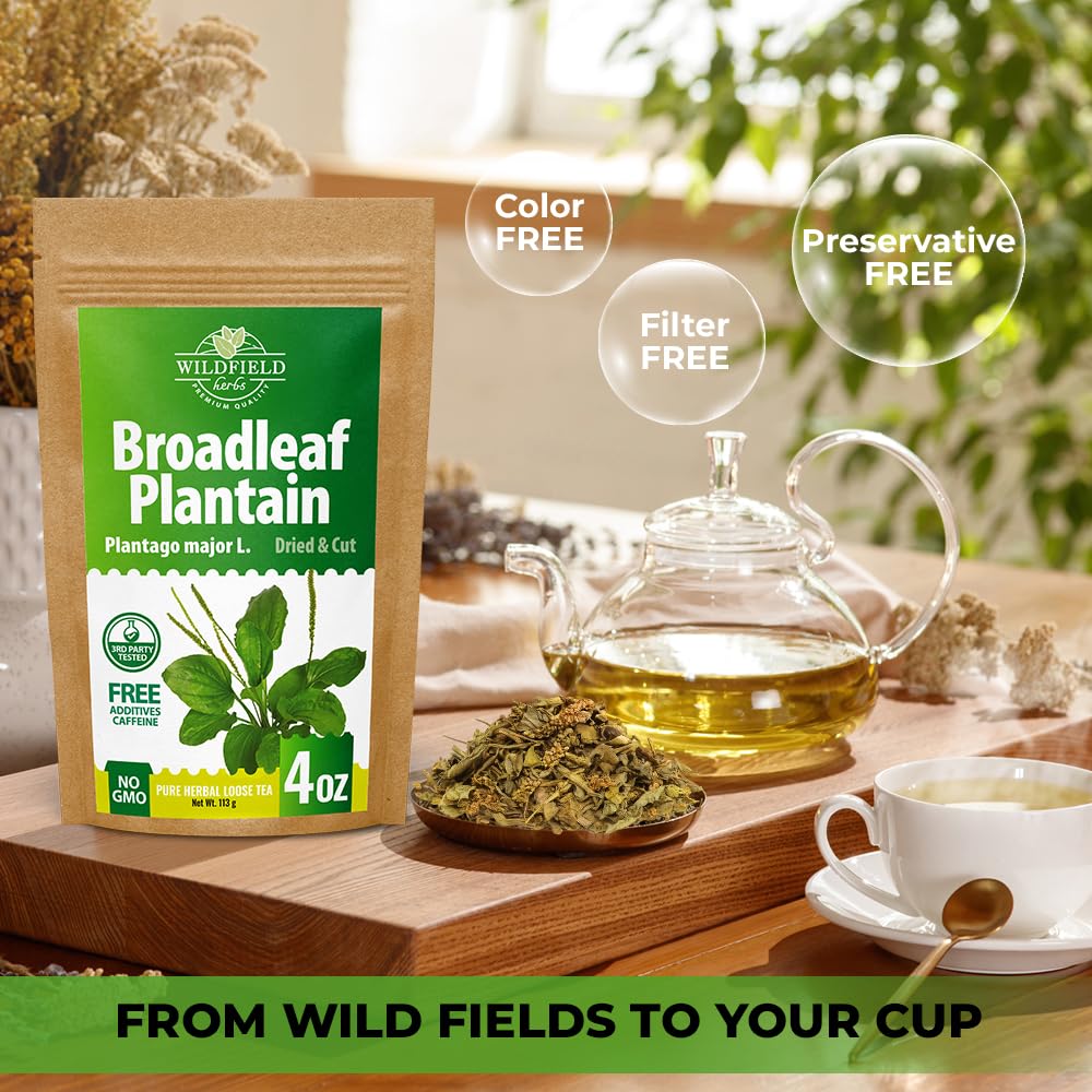 plantain leaf tea for digestion