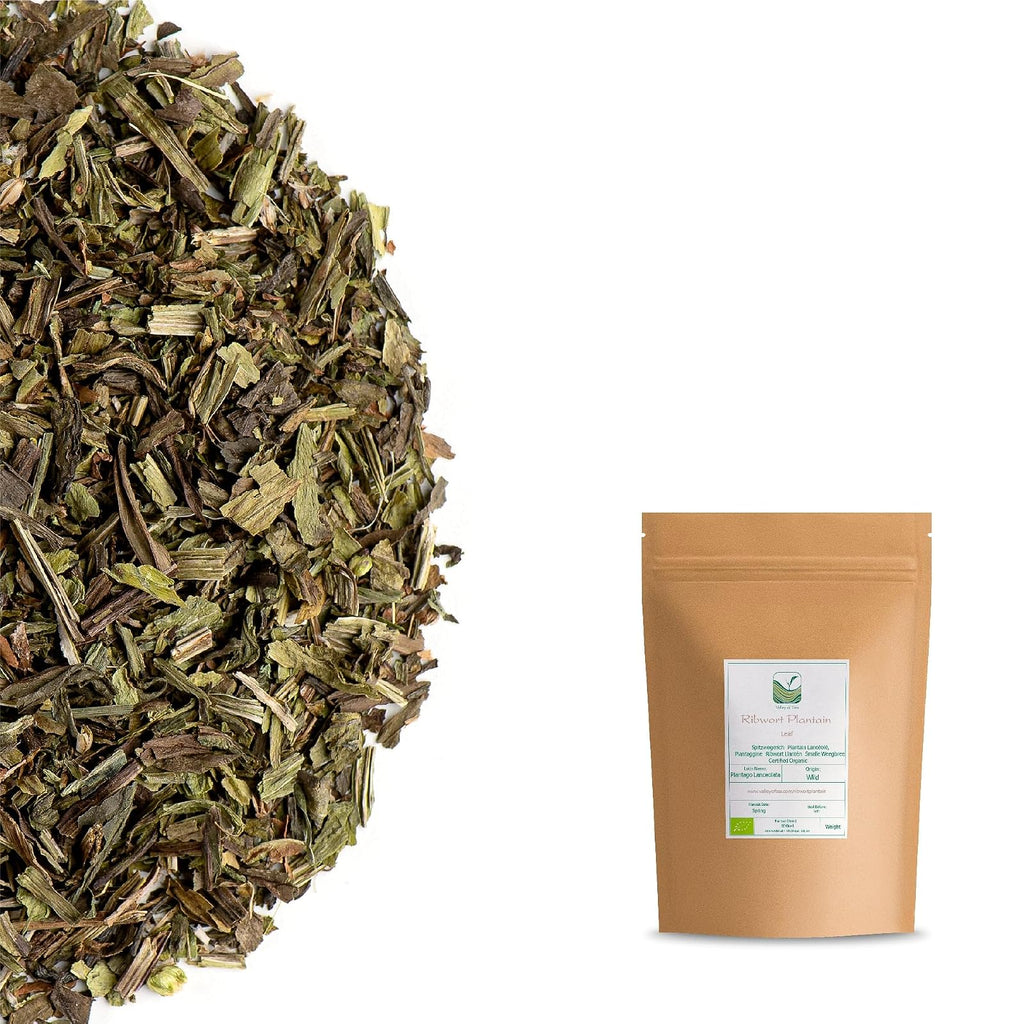 plantain leaf tea for wellness