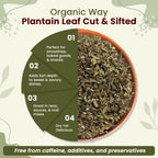 plantain leaf tea for wellness