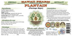 Plantain liquid extract for immune support