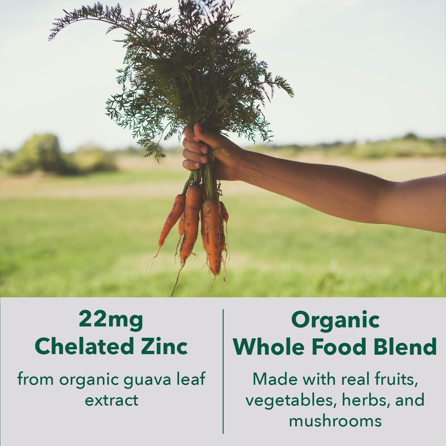 PlantFusion zinc for daily wellness