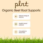 plnt beet root powder for athletes