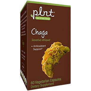 plnt Fermented Chaga mushroom supplement