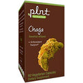 plnt Fermented Chaga mushroom supplement