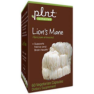 plnt Fermented Lion's Mane capsules for brain health