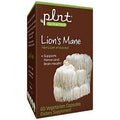 plnt Fermented Lion's Mane capsules for brain health