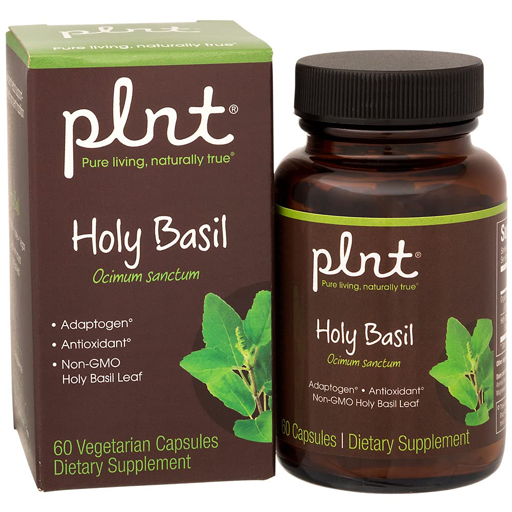 plnt holy basil for herbal wellness