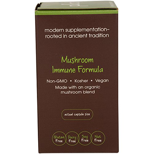 PLNT mushrooms for holistic health
