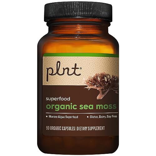 plnt Sea Moss for natural energy boost