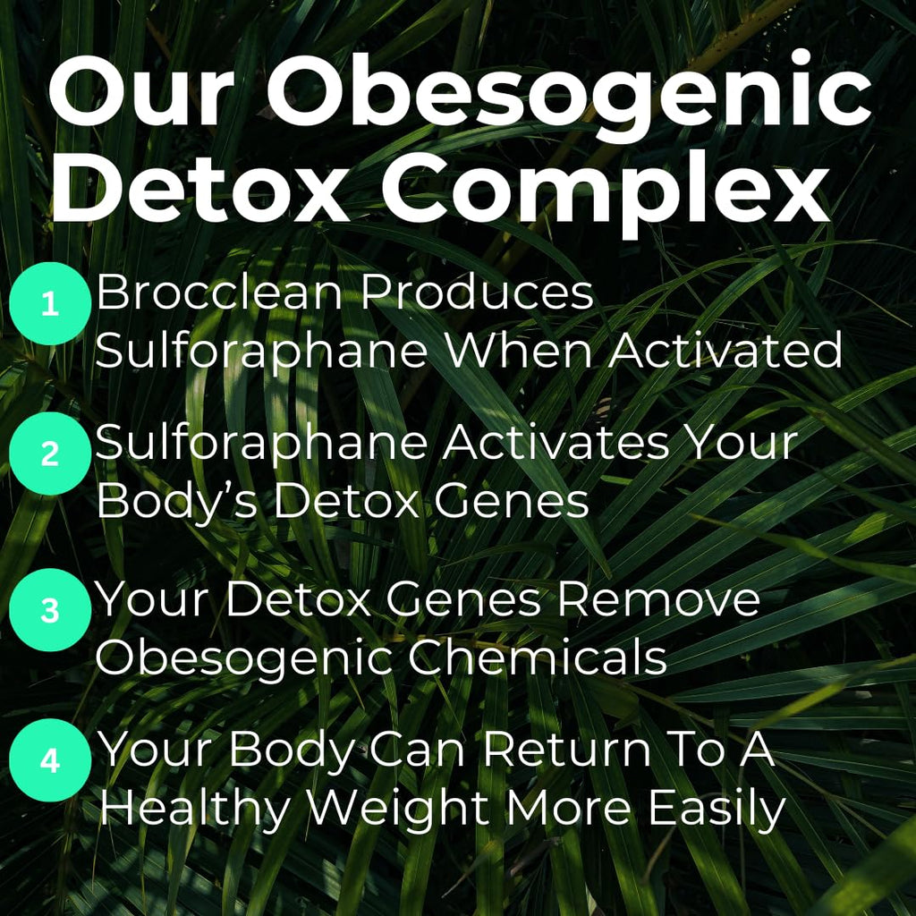 Point Botanicals Brocclean energy boost